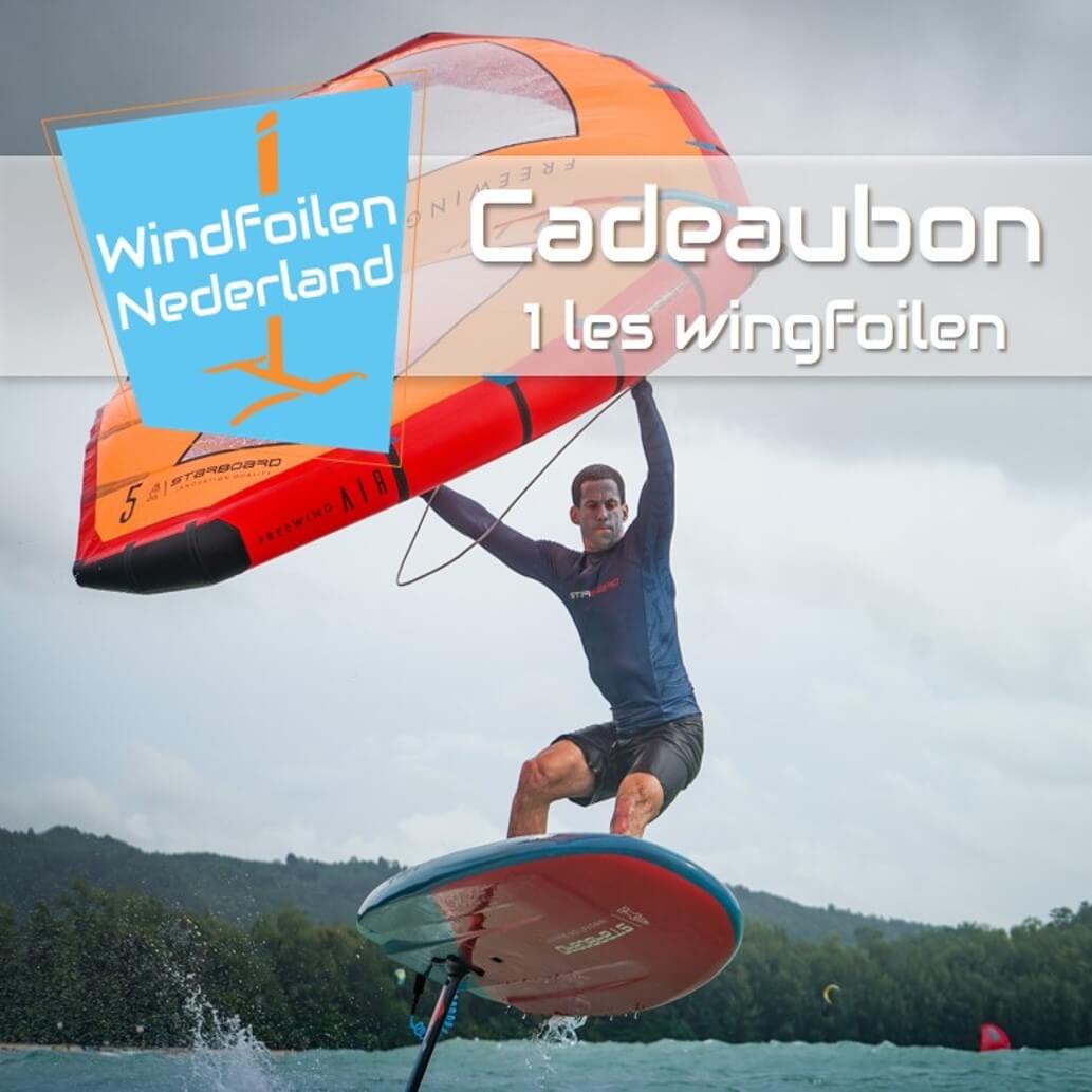 Introductieles wingfoilen - Windfoilen Nederland