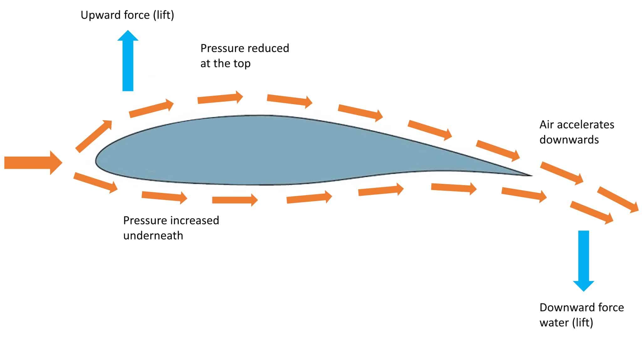Wing designs of foils explained - Foiling Netherlands